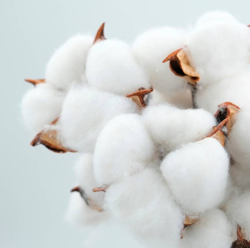 Propiedades del algodón y por qué usarlo en tus tejidos